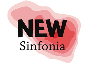 New Sinfonia – New Year Gala Concert